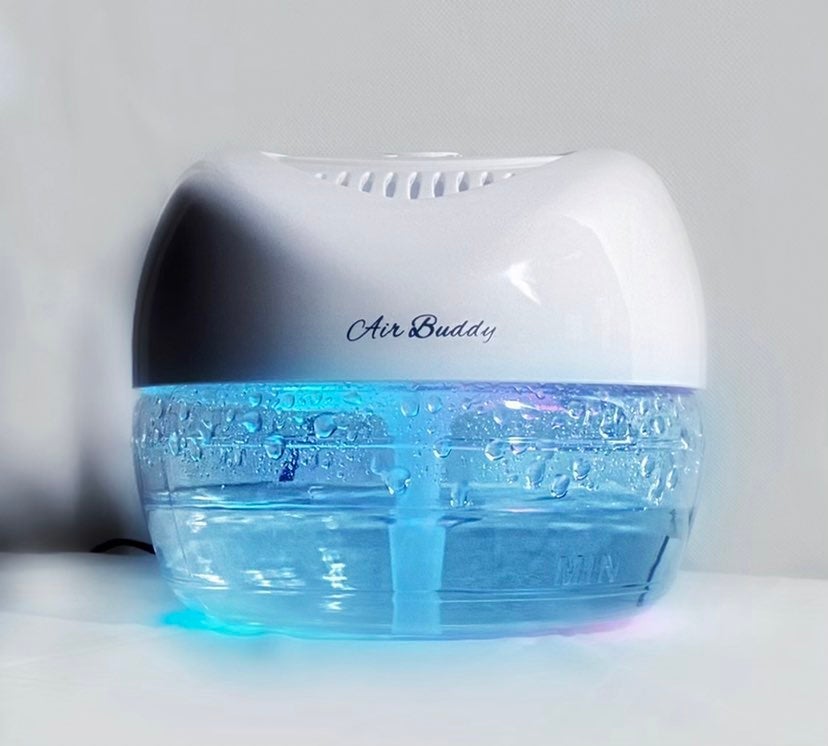 Air Buddy Single Room Air Purifier Dust Air purifiers