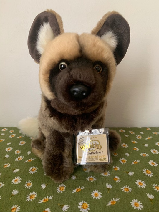 NWT Unused Code Webkinz Signature African Wild Dog