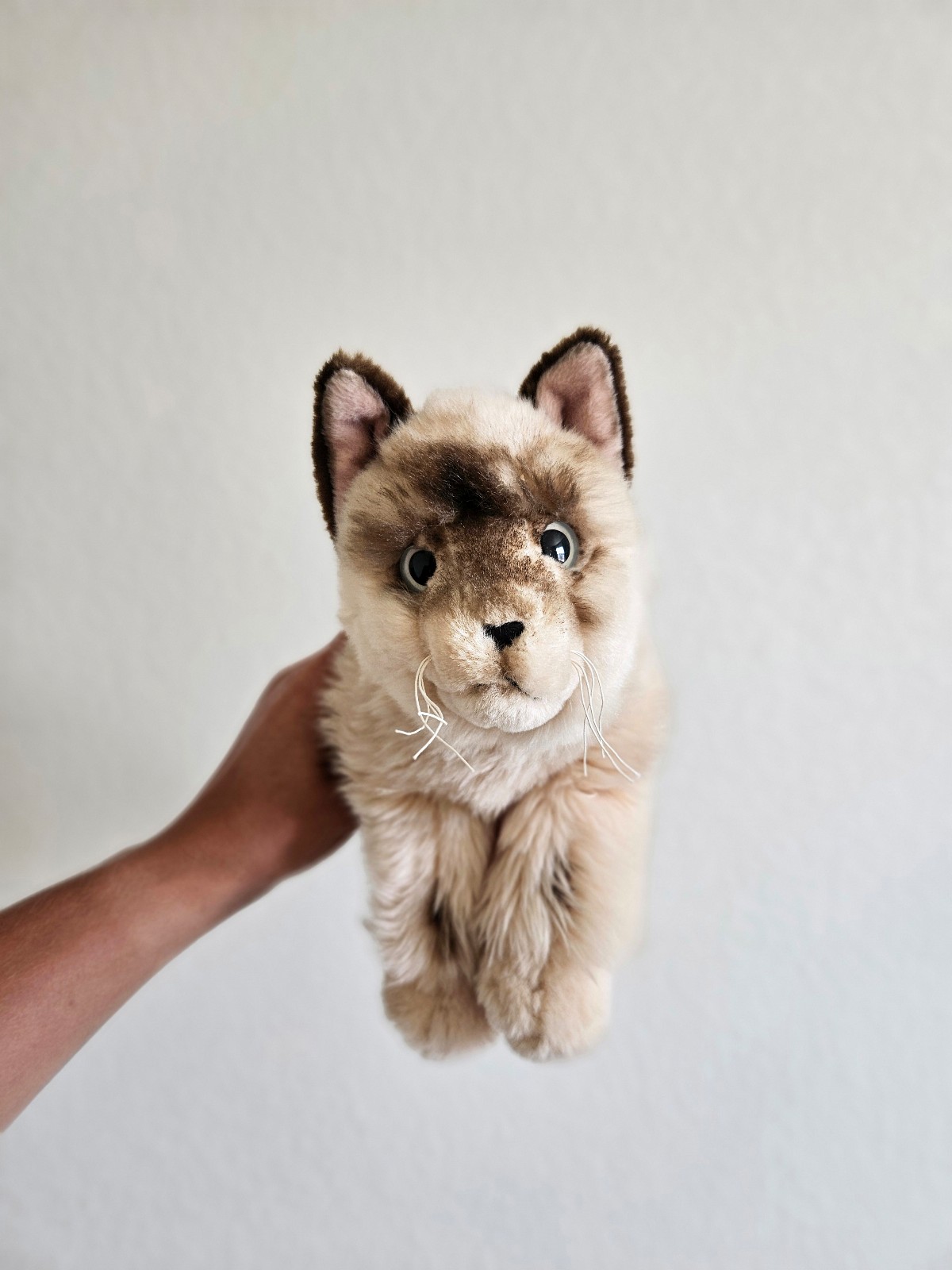 Webkinz Signature Ragdoll Cat