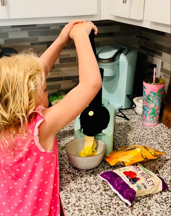 Vegan Friendly Dairy Free Frozen Fruit Soft Serve Maker Kitchen appliances